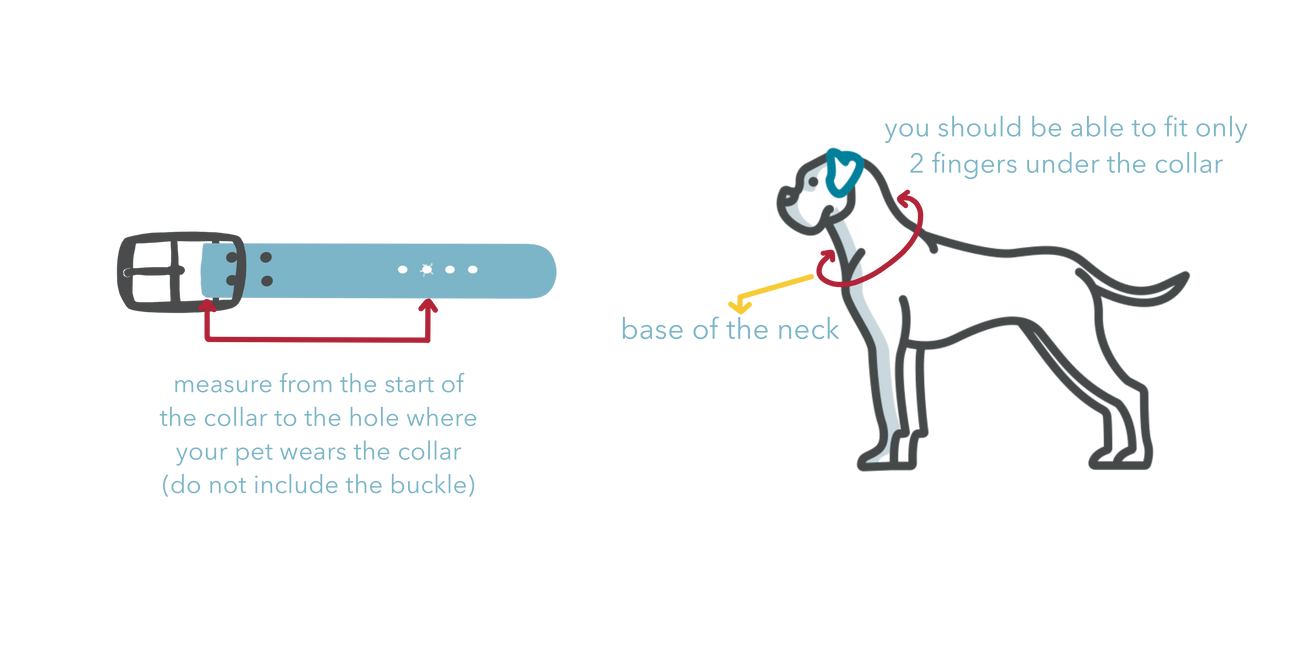 Size Chart – The Ostrich